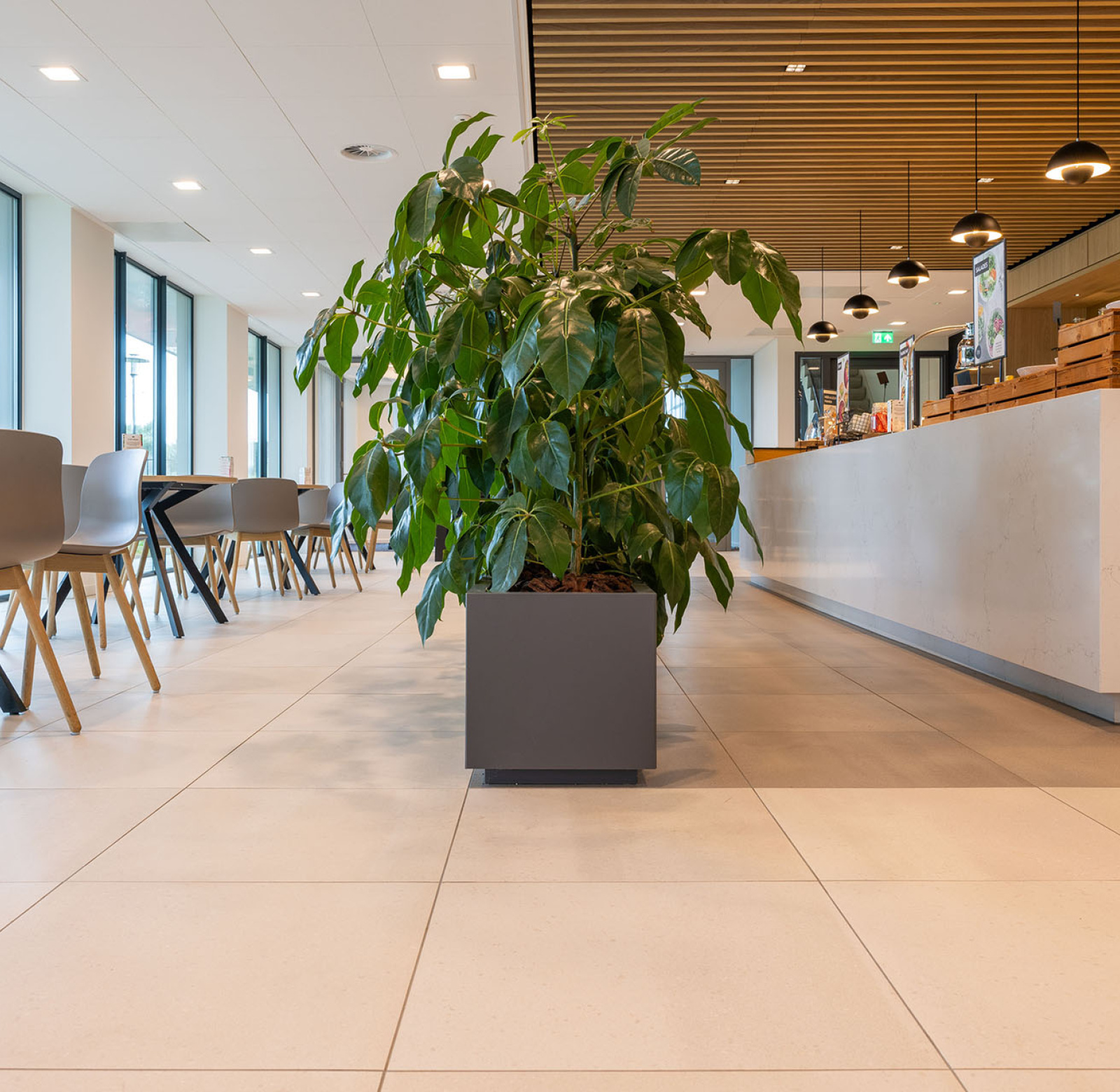 RF0947: Interconnect > View tile series